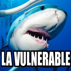 Meme Personalizado - la vulnerable - 31485852
