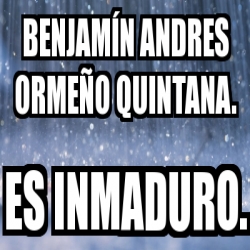Meme Personalizado - benjamÃ­n andres ormeÃ±o quintana. es inmaduro ...