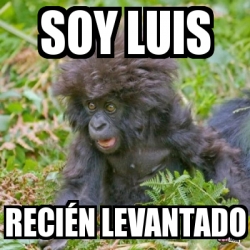 Meme Personalizado - Soy Luis ReciÃ©n levantado - 31487679