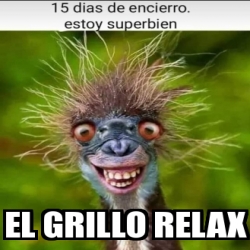 Meme Personalizado - el grillo relax - 31488323