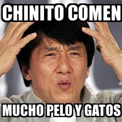 Meme Jackie Chan - Chinito comen Mucho pelo y gatos - 31490065