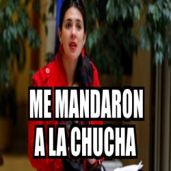 Meme Personalizado - Me mandaron a la chucha - 31490559