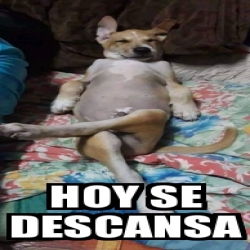 Meme Personalizado - Hoy se descansa - 31493595