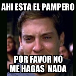 Meme crying peter parker - ahi esta el pampero por favor no me hagas ...
