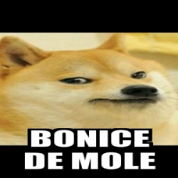 Meme Personalizado - Bonice de mole - 31497670