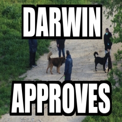 Meme Personalizado - darwin approves - 31498975
