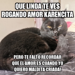 Meme Personalizado - Que linda te ves rogando amor Karencita Pero te ...