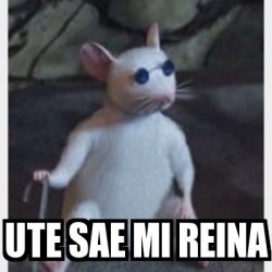 Meme Personalizado - Ute sae mi reina - 31501248