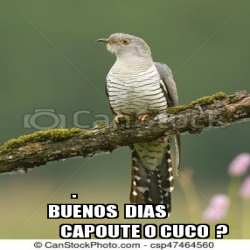 Meme Personalizado - . Buenos dias capoute o cuco ? - 31501665