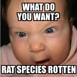 Meme Bebe furioso - what do you want? rat species rotten - 31501821