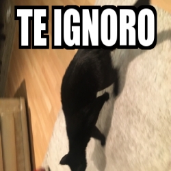 Meme Personalizado - Te ignoro - 31504763