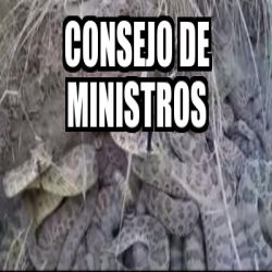 Meme Personalizado - consejo de ministros - 31505863