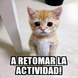 Meme Personalizado - A retomar la actividad! - 31508055
