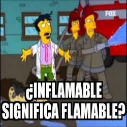 Meme Personalizado - Â¿INFLAMABLE SIGNIFICA FLAMABLE? - 31513428