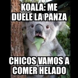 Meme Koala - Koala: me duele la panza Chicos vamos a comer helado ...