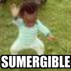 Meme Personalizado - Sumergible - 31514251