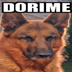 Meme Personalizado - Dorime - 31515875