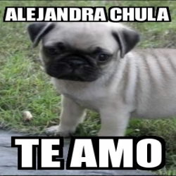 Meme Personalizado - Alejandra chula Te Amo - 31518903
