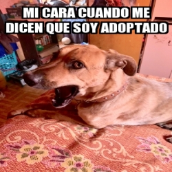Meme Personalizado - Mi cara cuando me dicen que soy adoptado - 31519875