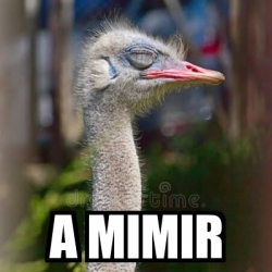 Meme Personalizado - A mimir - 31522225