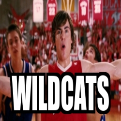 Meme Personalizado - Wildcats - 31524831