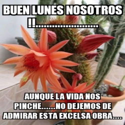 Meme Personalizado - Buen lunes nosotros ...