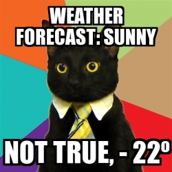 Meme Business Cat - weather forecast: sunny not true, - 22Âº - 31529076
