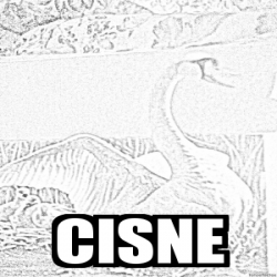 Meme Personalizado - Cisne - 31534679