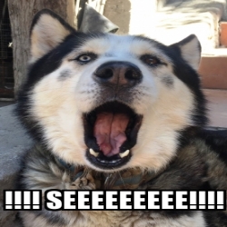 Meme Personalizado - !!!! SEEEEEEEEE!!!! - 31540241