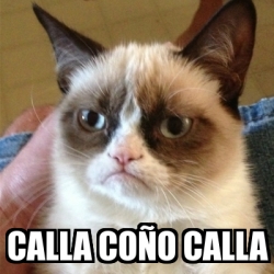 Meme Grumpy Cat - CALLA COÃ‘O CALLA - 31541033