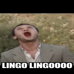 Meme Personalizado - Lingo lingoooo - 31544108