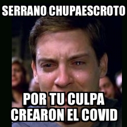 Meme crying peter parker - SERRANO CHUPAESCROTO POR TU CULPA CREaRON EL ...