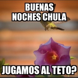 Meme Personalizado - Buenas noches chula Jugamos al teto? - 31544354