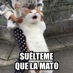Meme Personalizado - SuÃ©lteme que la mato - 31546430