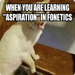 Meme Personalizado - when you are learning ''aspiration'' in fonetics ...