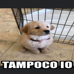 Meme Personalizado - Tampoco io - 31547639