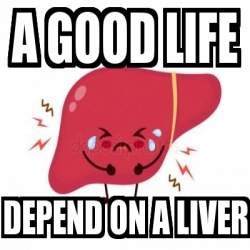 Meme Personalizado - a GOOD LIFE DEPEND ON A LIVER - 31549159