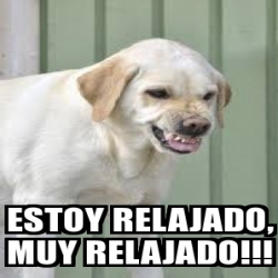Meme Personalizado - Estoy relajado, muy relajado!!! - 31556710