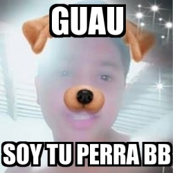 Meme Personalizado - guau soy tu perra bb - 31559822