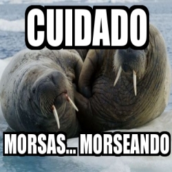 Meme Personalizado - Cuidado Morsas... Morseando - 31563343