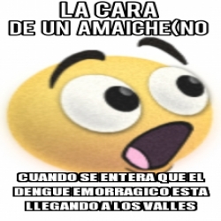 Meme Personalizado - CUANDO SE ENTERA QUE EL DENGUE EMORRAGICO ESTA ...