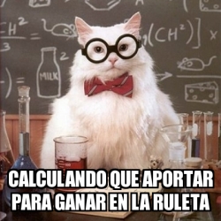 Meme Chemistry Cat - Calculando que aportar para ganar en la ruleta ...
