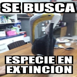 Meme Personalizado - Se busca Especie en extincion - 31570804