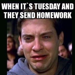 Meme crying peter parker - when it`s tuesday and they send homework ...