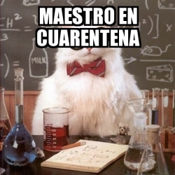 Meme Chemistry Cat - mAESTRO EN CUARENTENA - 31580182