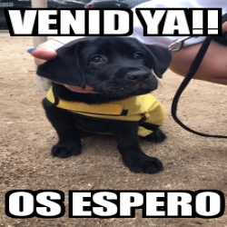 Meme Personalizado - VENID YA!! OS ESPERO - 31583468