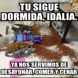 Meme Personalizado - Tu sigue dormida, Idalia. Ya nos servimos de ...