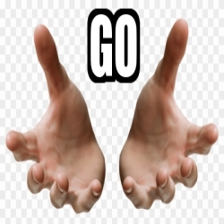 Meme Personalizado - Go - 31585093