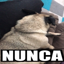 Meme Personalizado - Nunca - 31595124