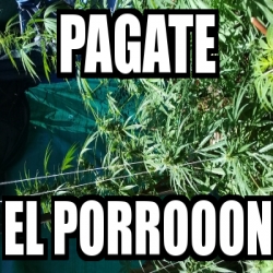 Meme Personalizado - Pagate El porrooon - 31062316